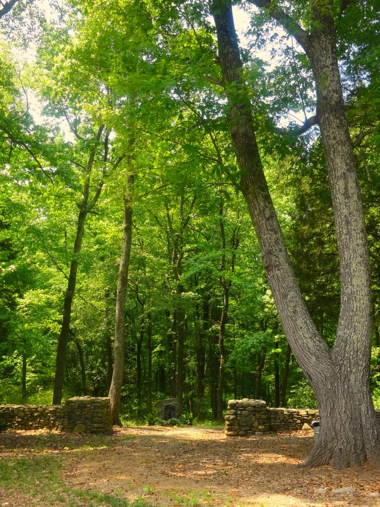 Mecklenburg Declaration of Independence - Katie Talks Carolina